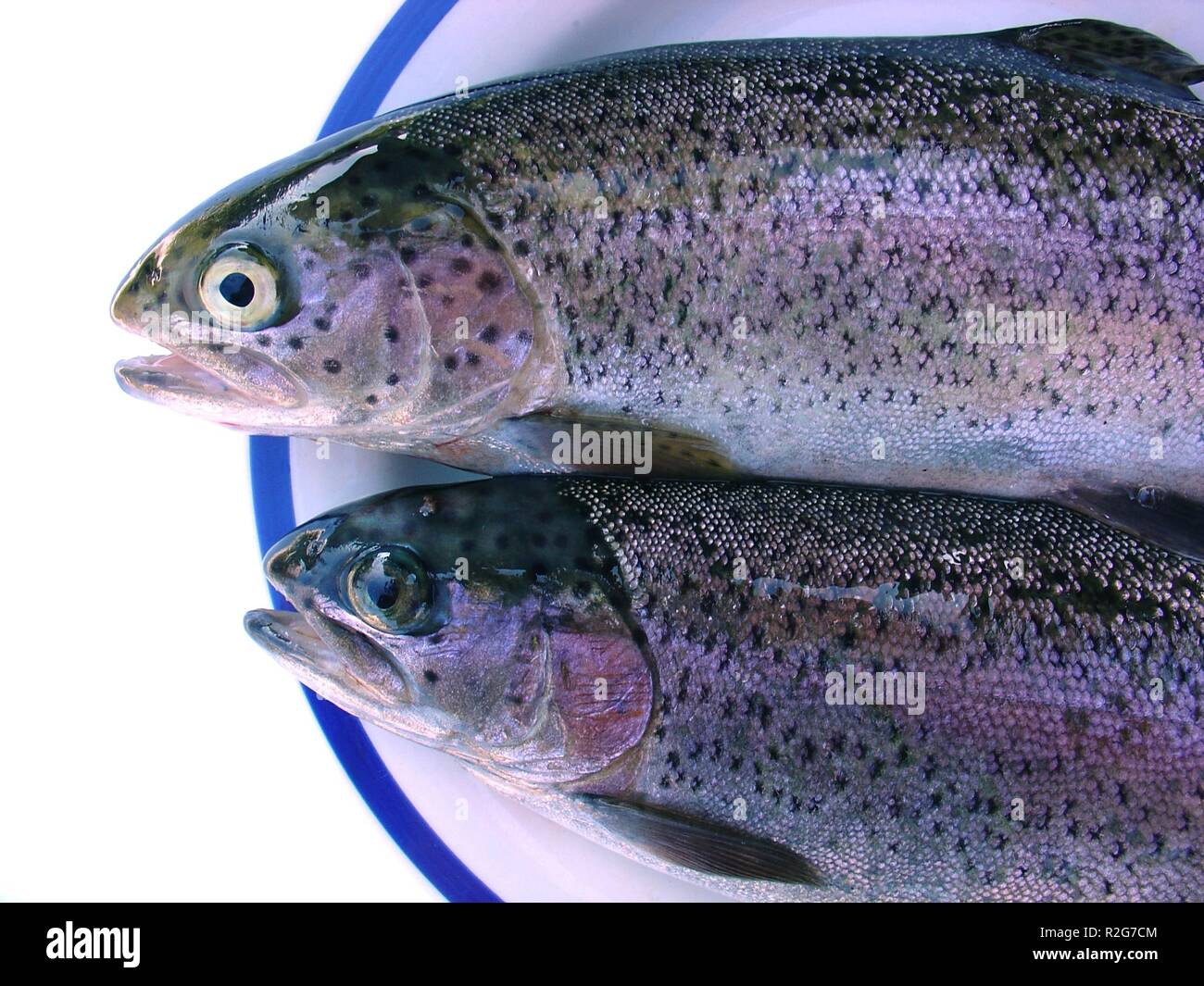 Fischessen hi-res stock photography and images - Alamy