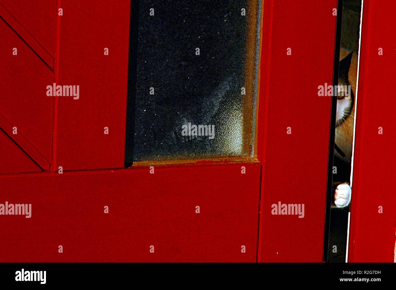 Attempted escape hi-res stock photography and images - Alamy