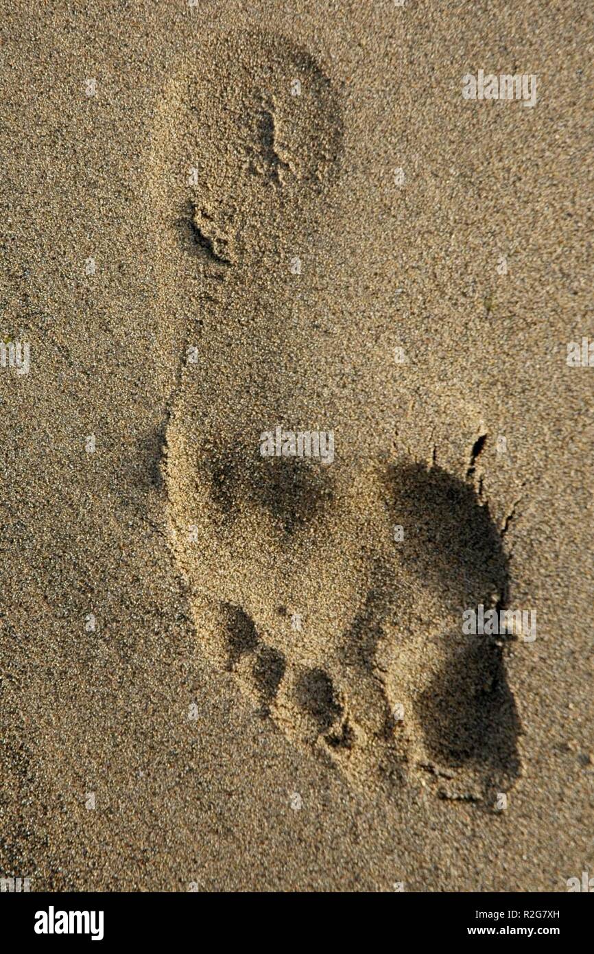 track in the sand Stock Photo - Alamy