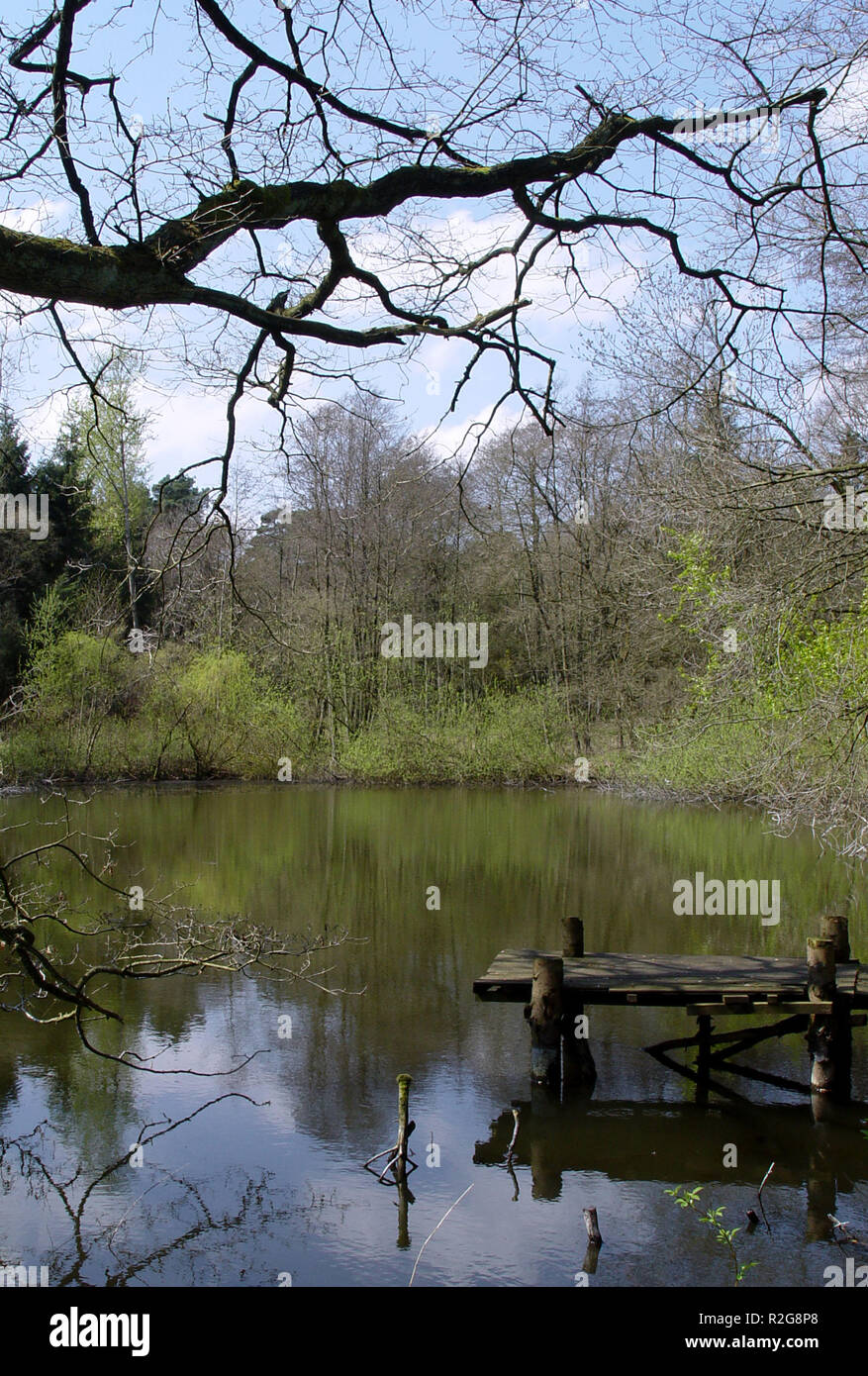 spring. picture 2 Stock Photo - Alamy