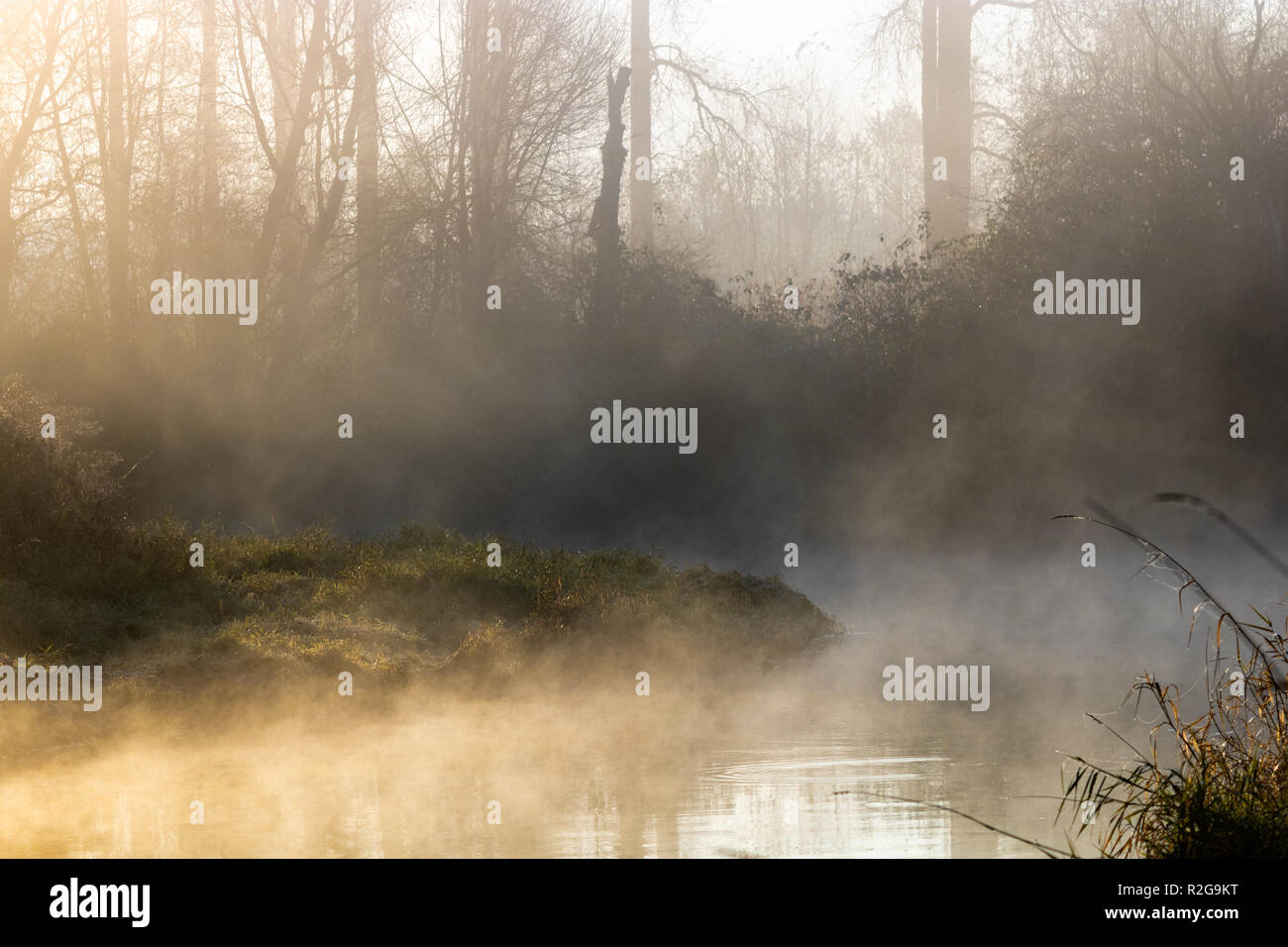 Mist Rising on the Alouette River Stock Photo - Alamy