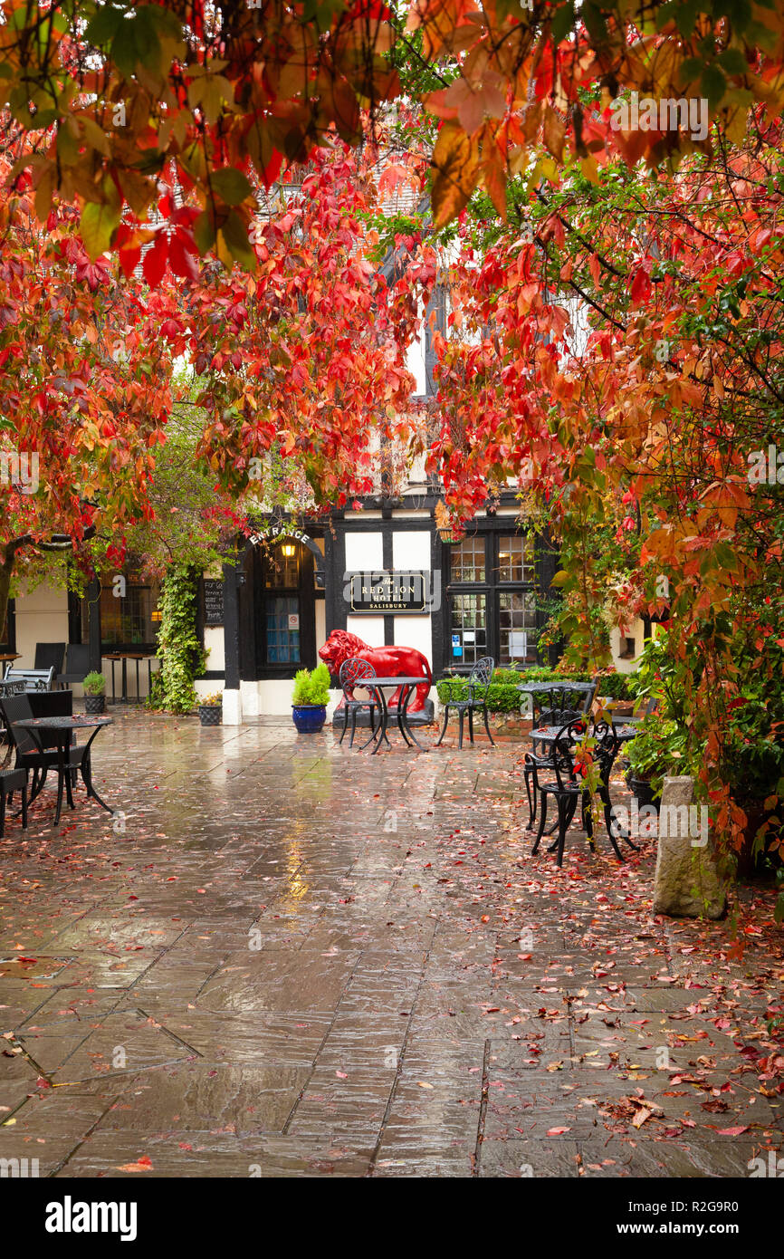 Salisbury autumn wiltshire centre hi-res stock photography and images ...