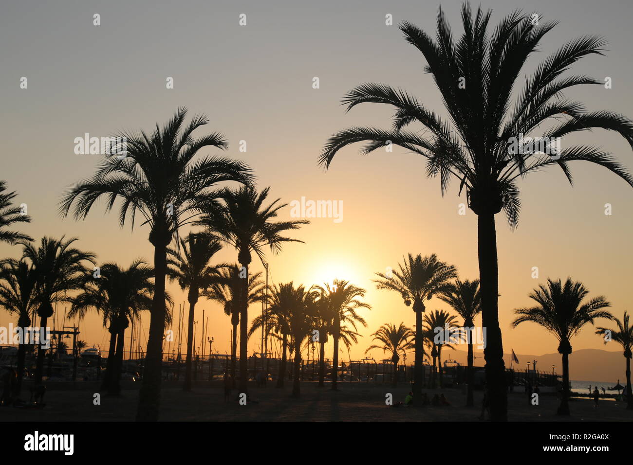 Sunset palm trees island distance hi-res stock photography and images ...