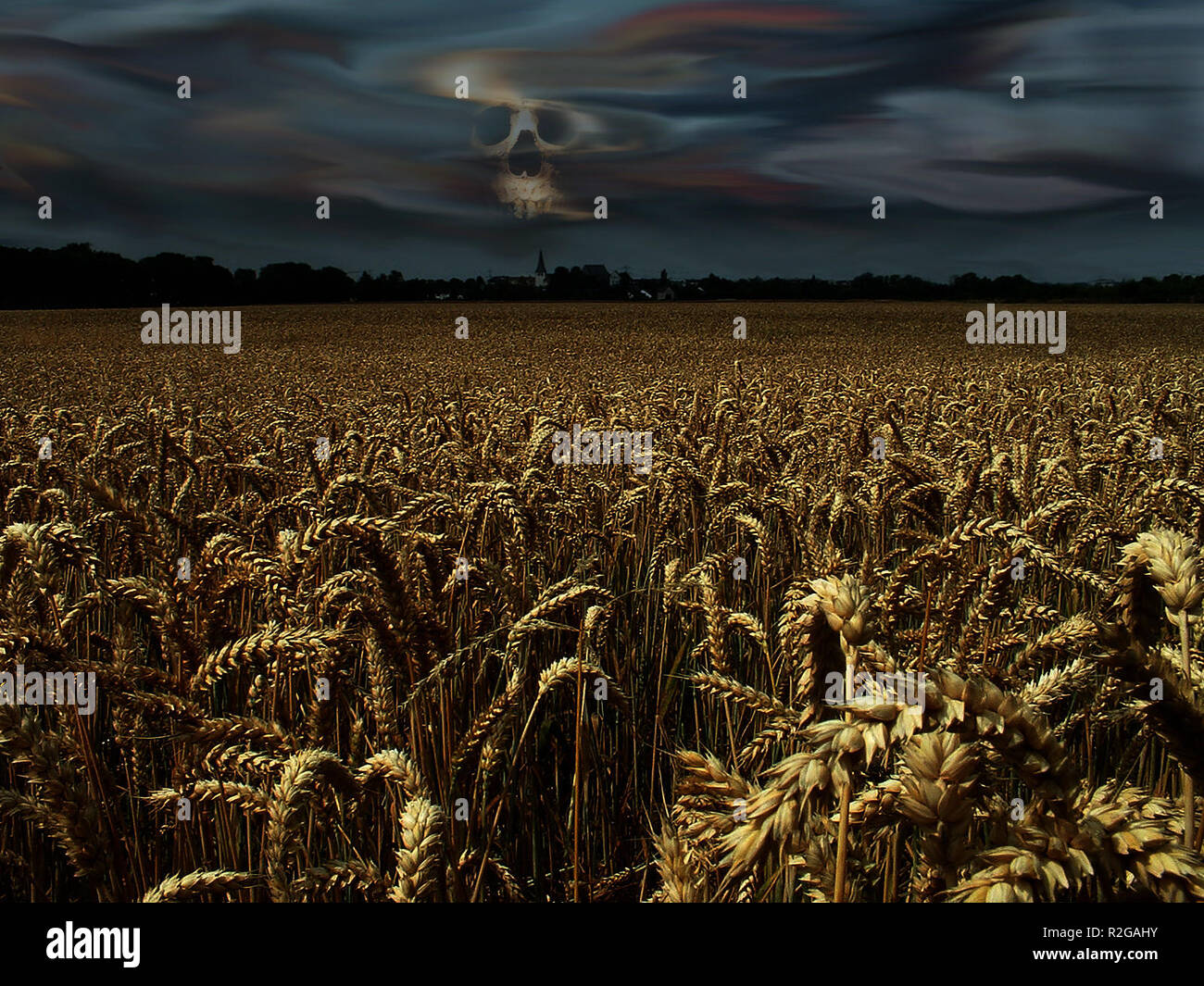 Children of the corn hi-res stock photography and images - Alamy