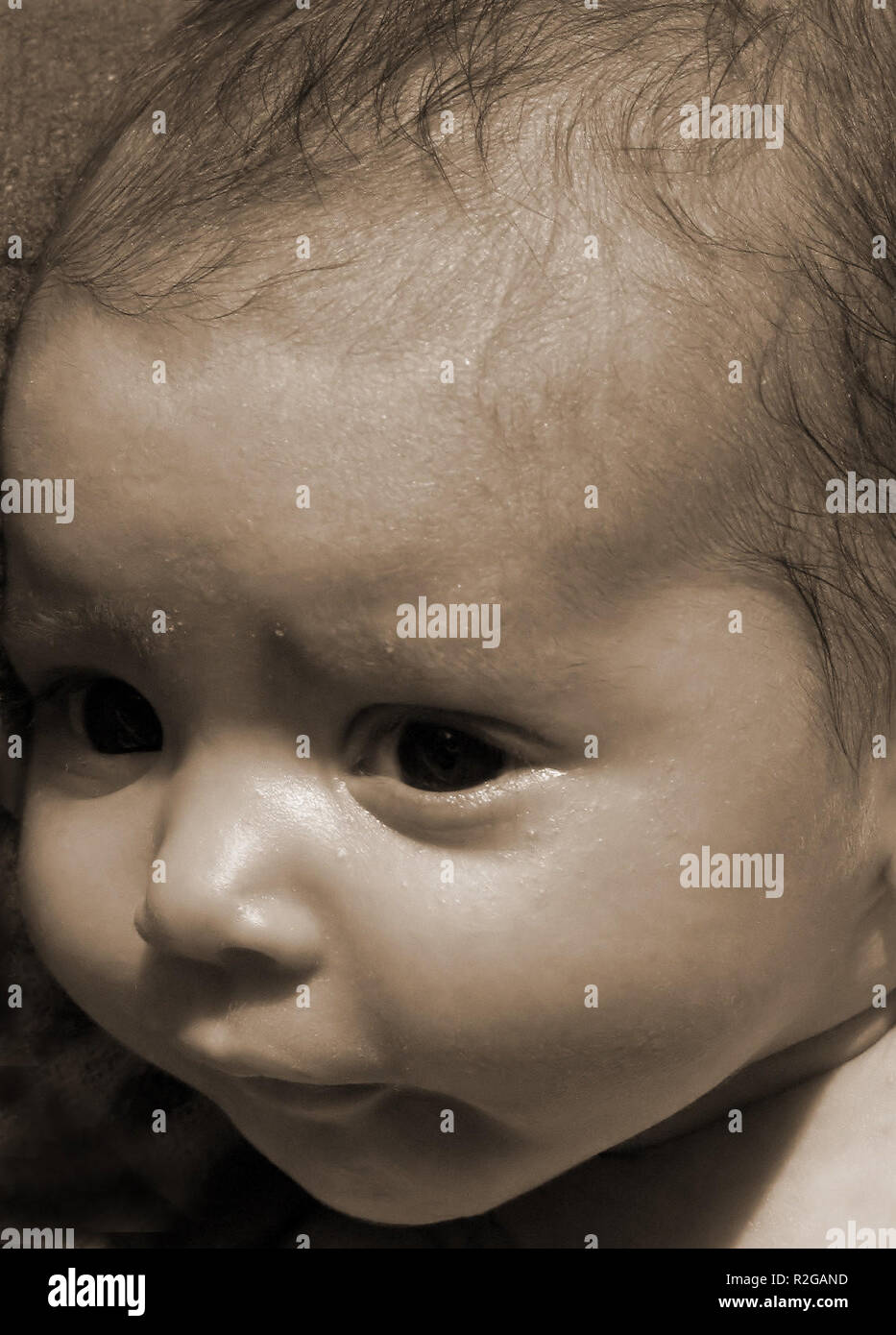 Little sweety hi-res stock photography and images - Alamy