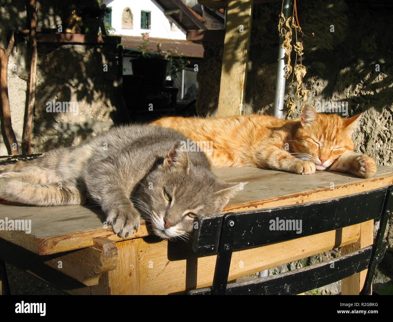 Pssst hi-res stock photography and images - Alamy