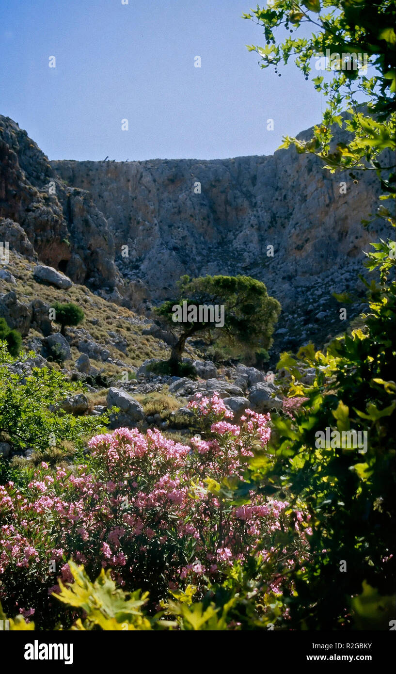 spring in crete Stock Photo - Alamy