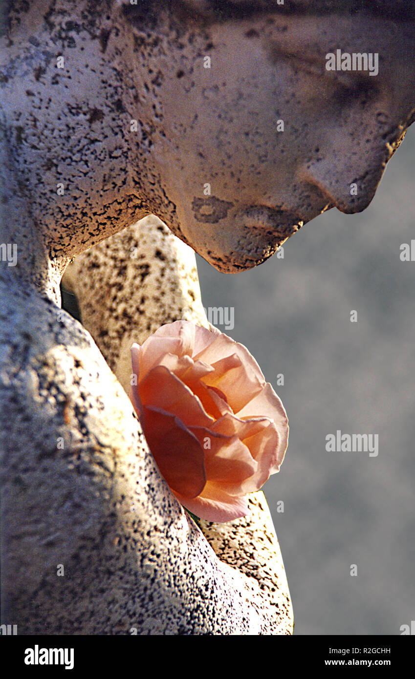 stone statue with rose Stock Photo - Alamy