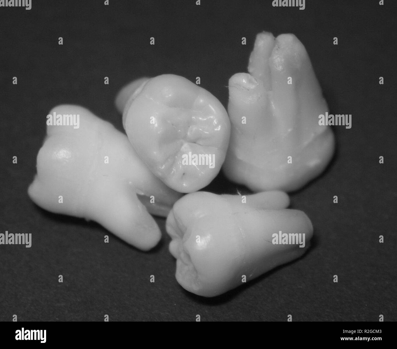 Ephemeral Black and White Stock Photos & Images - Alamy