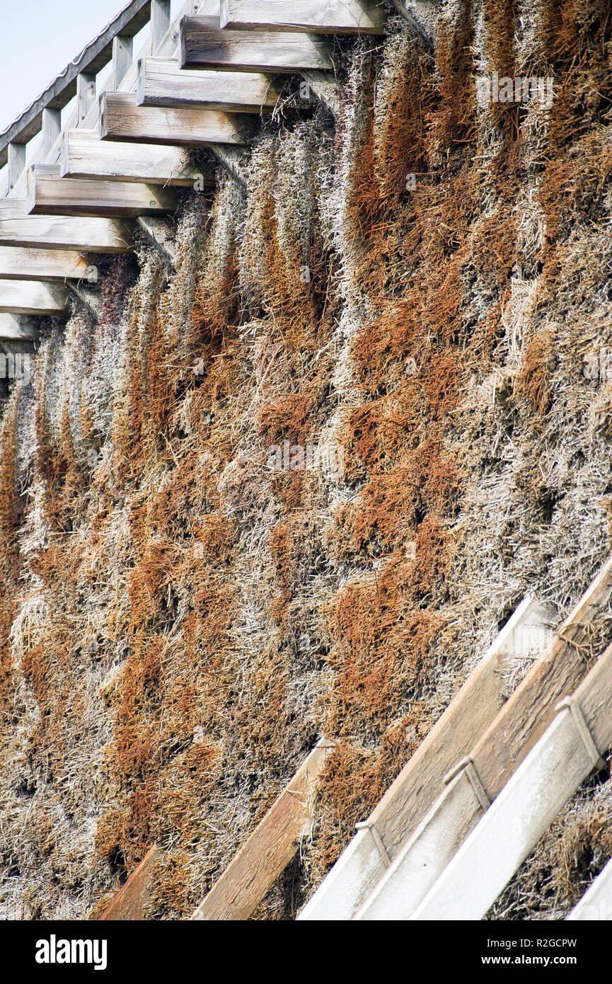 Graduation tower construction hi-res stock photography and images - Alamy