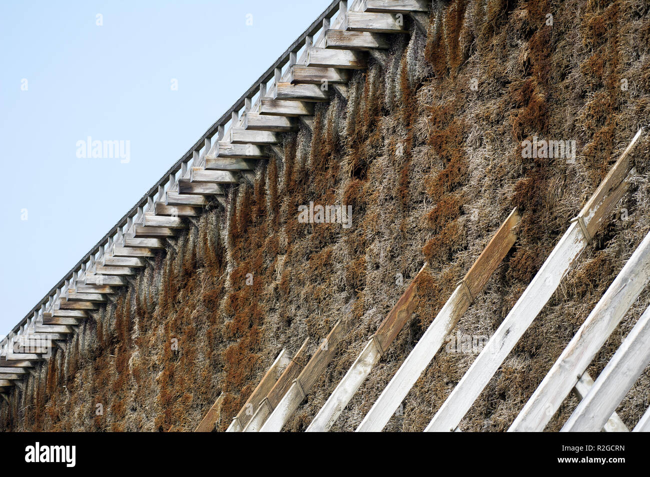 Europe’s largest wooden complex of three graduation towers with a total ...