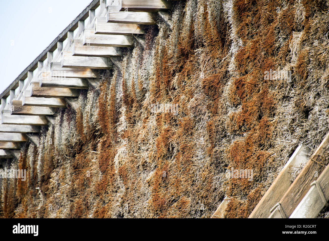 Europe’s largest wooden complex of three graduation towers with a total ...