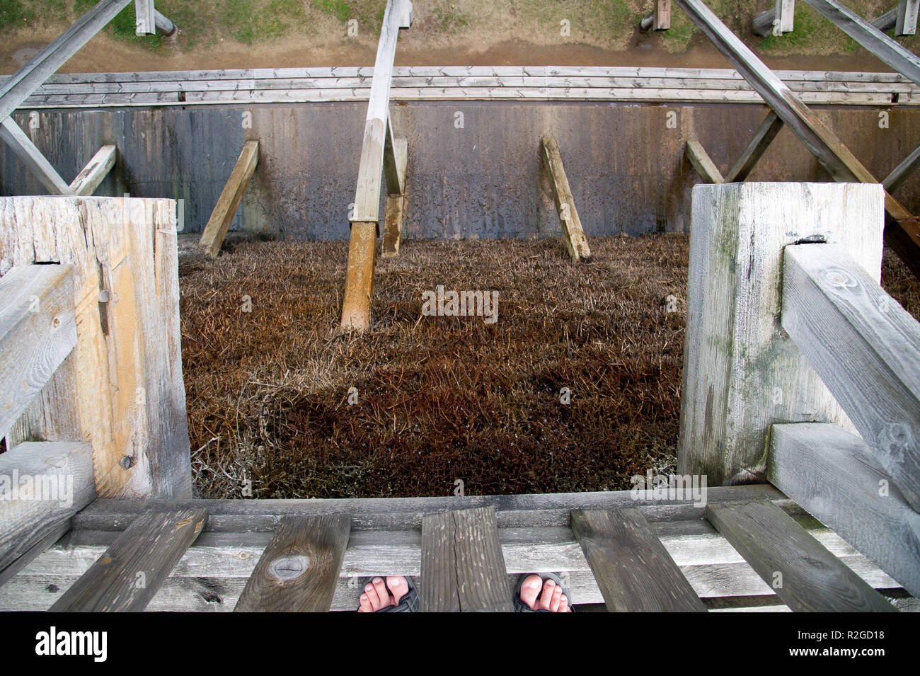 Europe’s largest wooden complex of three graduation towers with a total ...