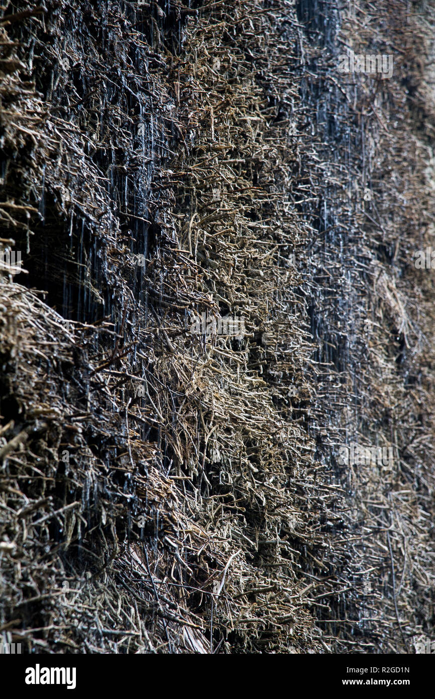 Europe’s largest wooden complex of three graduation towers with a total ...