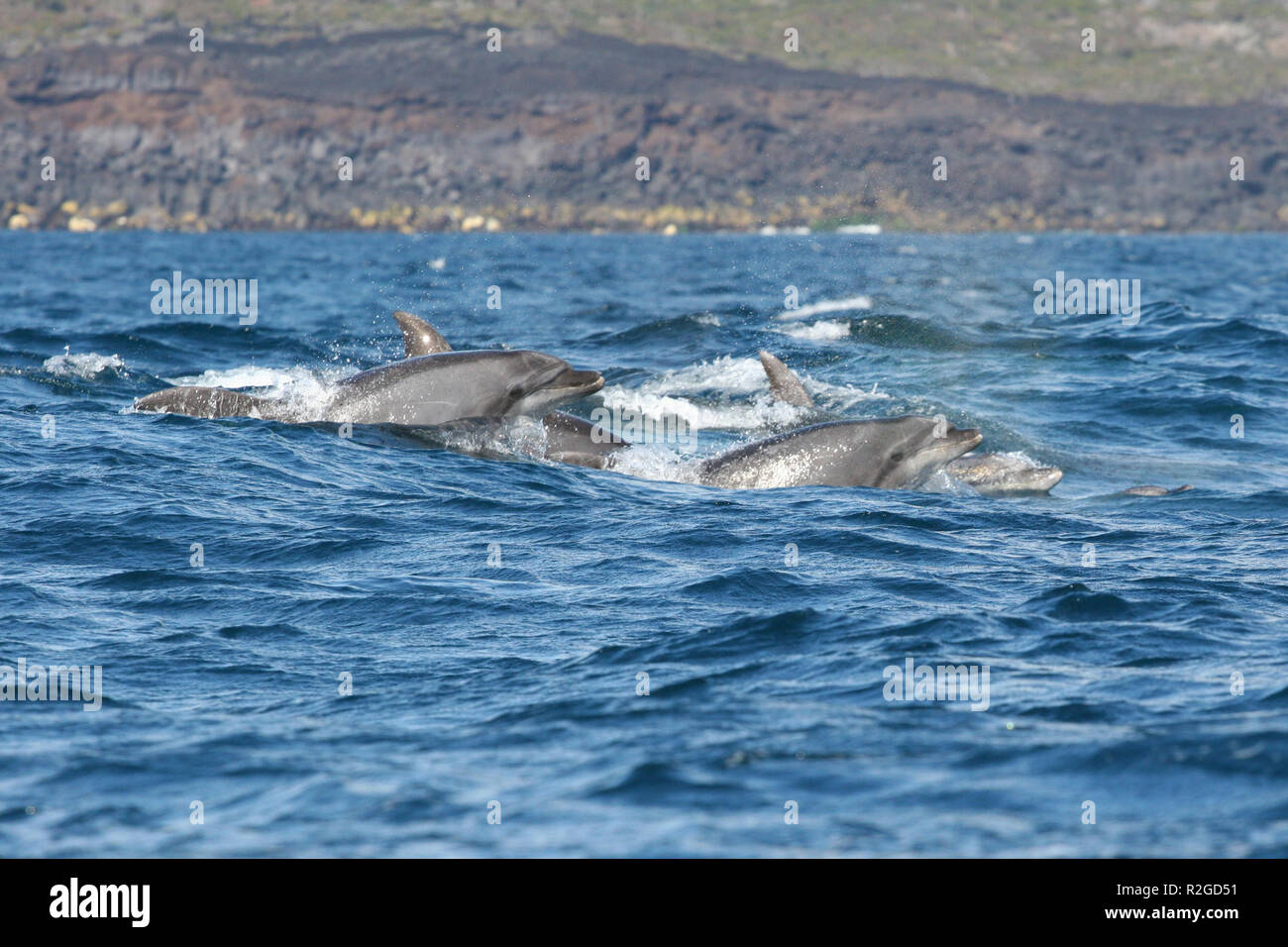 Ta pico hi-res stock photography and images - Alamy