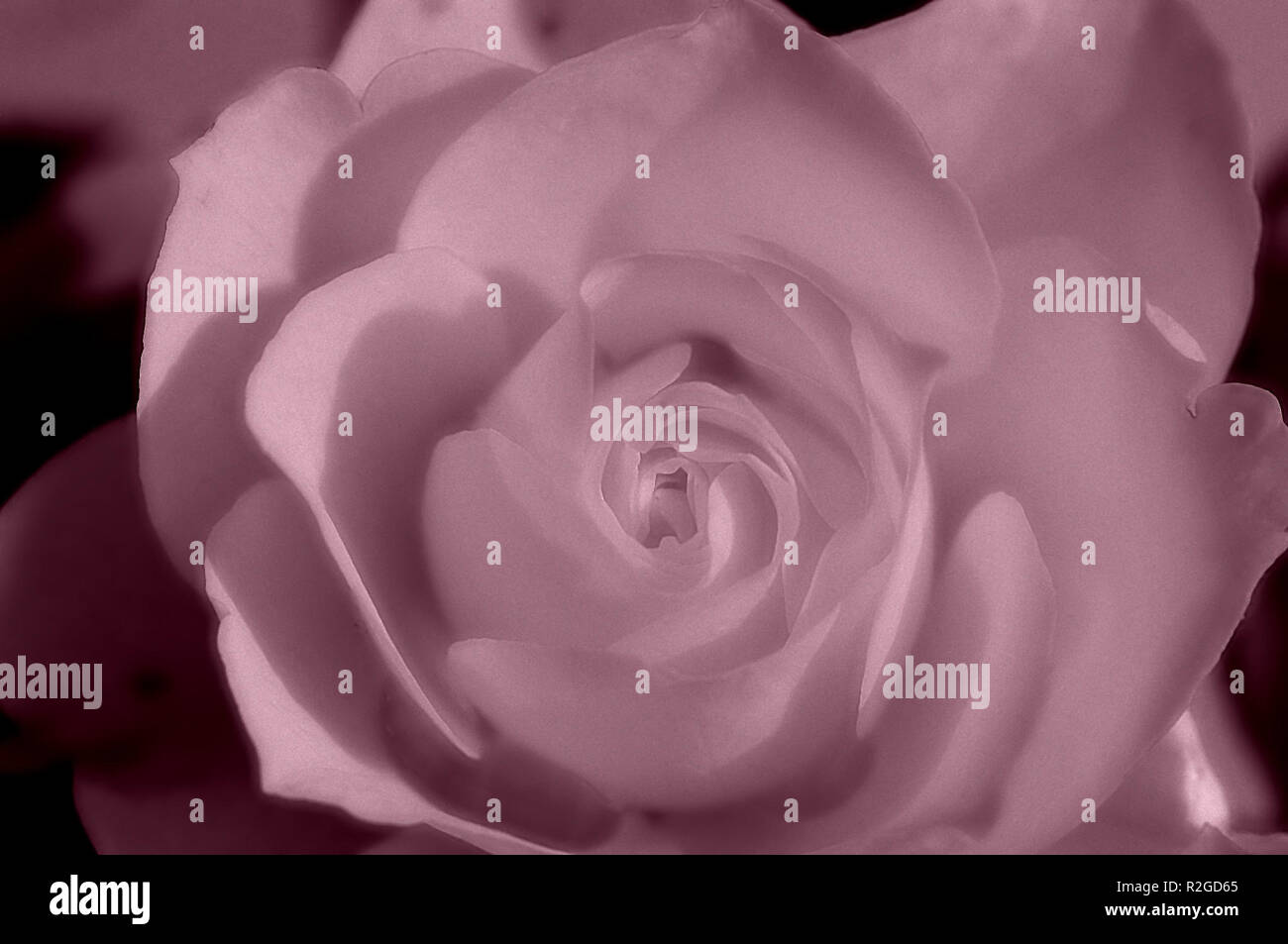 Farbreduziert hi-res stock photography and images - Alamy