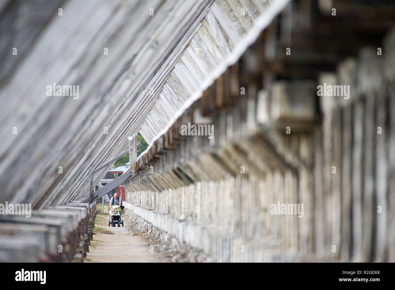 Europe’s largest wooden complex of three graduation towers with a total ...