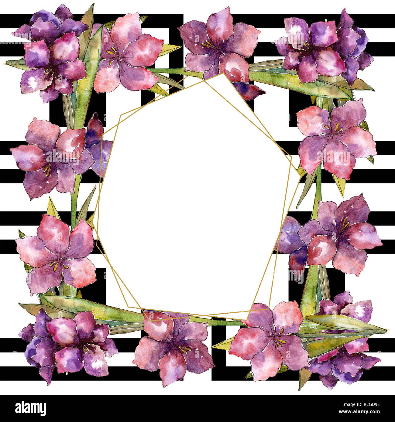 Purple amaryllis flower. Watercolor illustration set. Drawing aquarelle ...