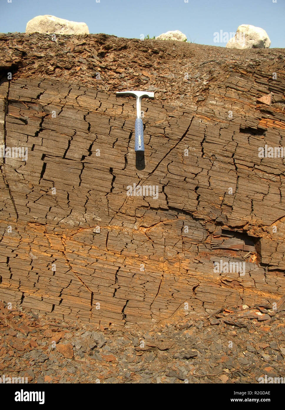 oil shale in messel Stock Photo - Alamy