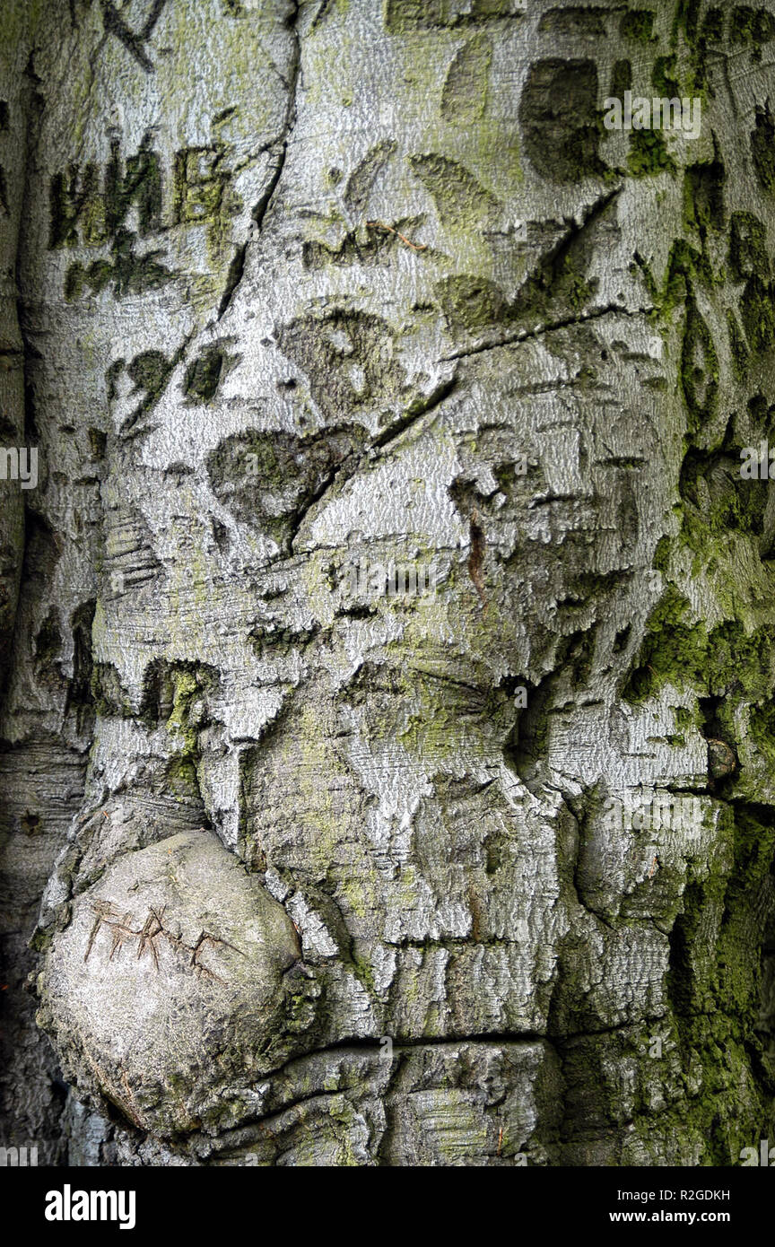 Indentation hi-res stock photography and images - Alamy