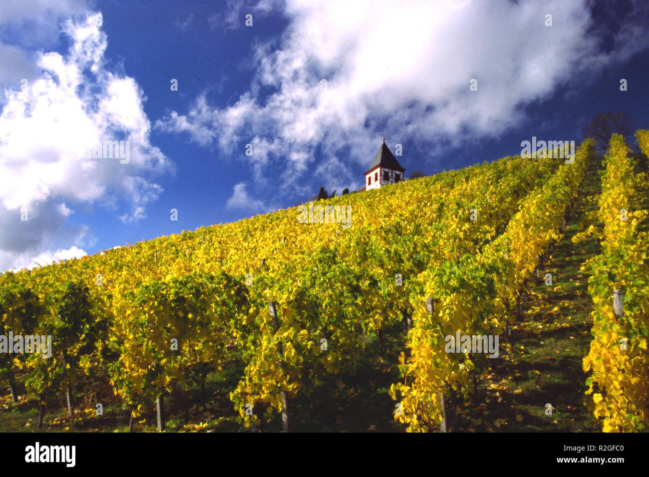 Michael wa hi-res stock photography and images - Alamy