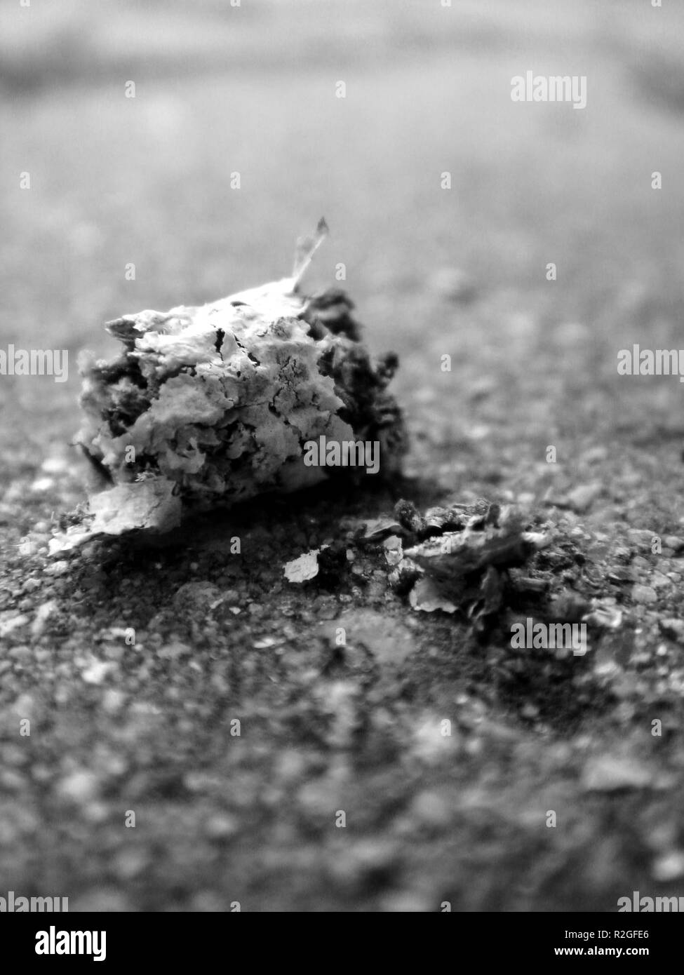 Burned cigarette Black and White Stock Photos & Images - Alamy