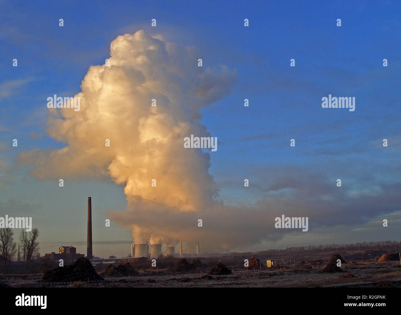 Not toxic hi-res stock photography and images - Alamy