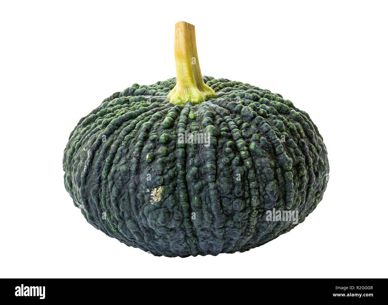 Kabocha Cut Out Stock Images & Pictures - Alamy