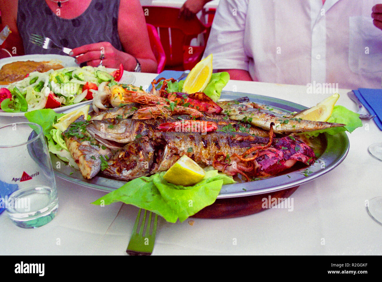 Comprehensive plate hi-res stock photography and images - Alamy