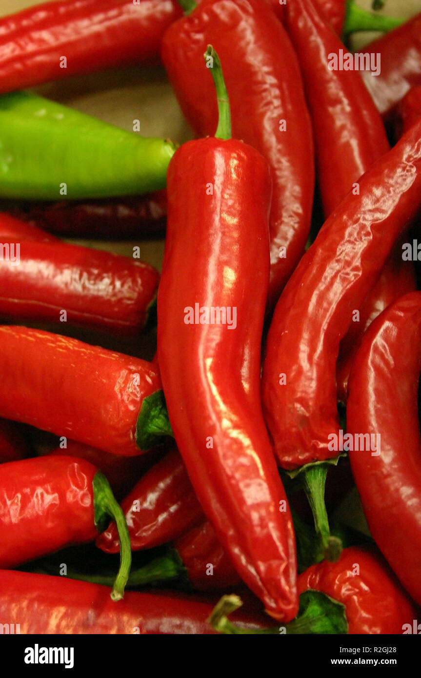 red hot chili Stock Photo - Alamy