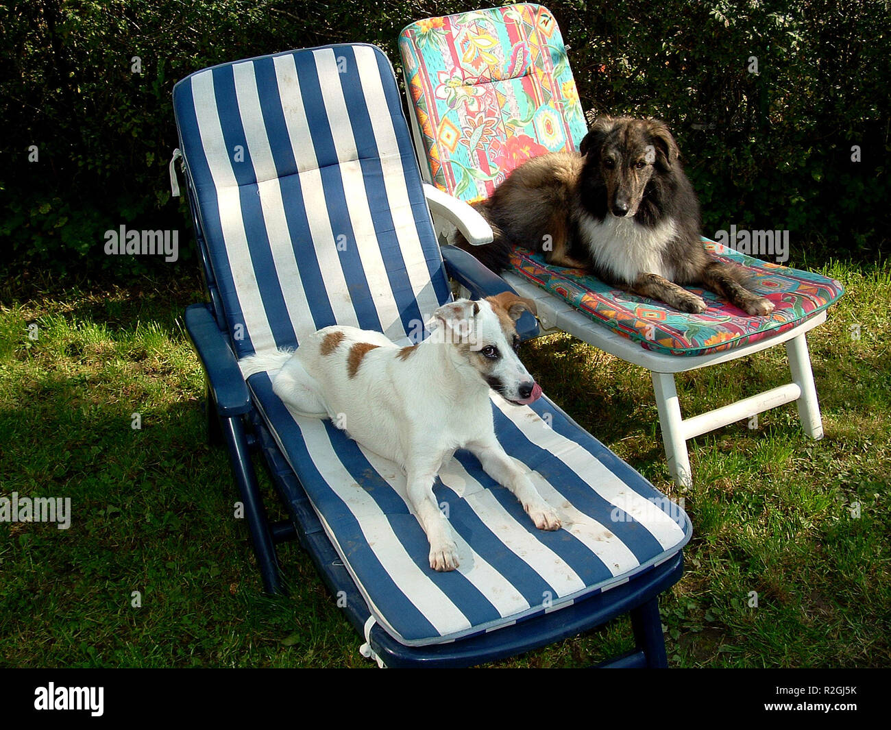 dream team 6 Stock Photo - Alamy