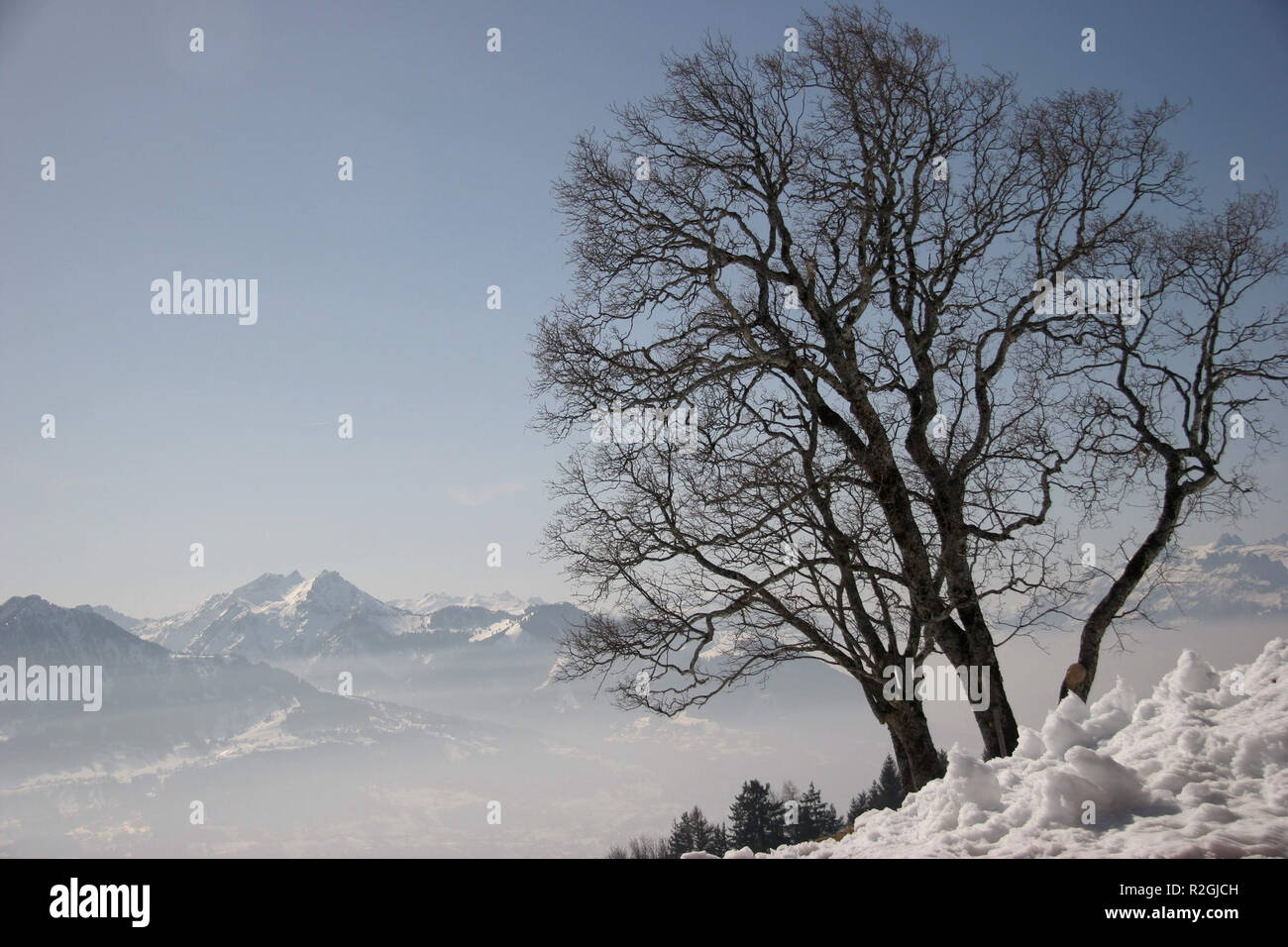 it is still winter Stock Photo - Alamy