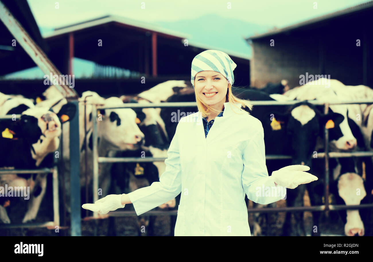Woman vet with cows hi-res stock photography and images - Alamy