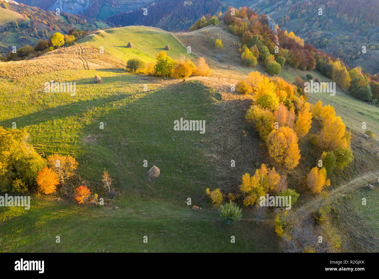 Aerial drone shot over autumn scenery in Transylvania, Romania Stock ...