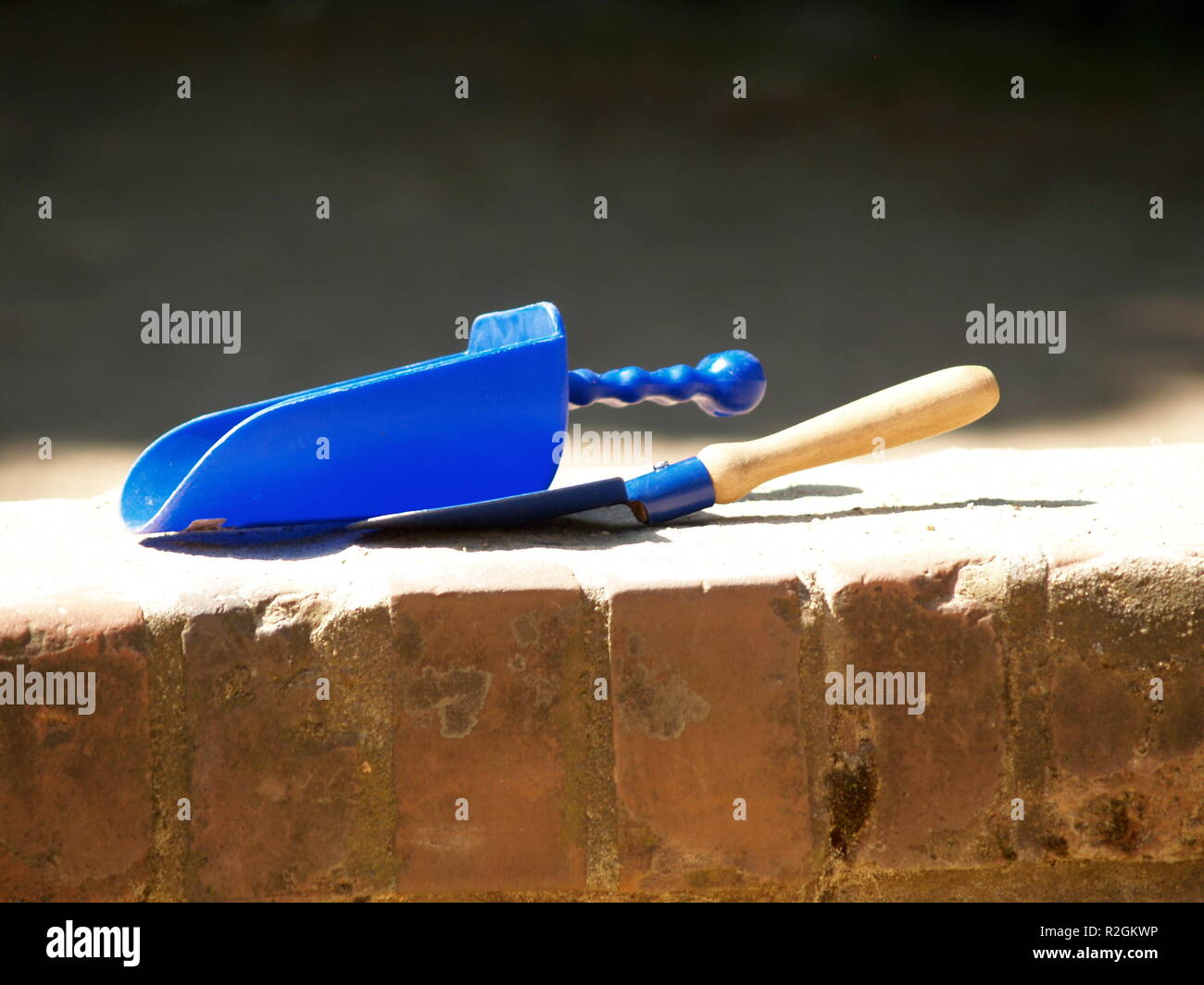 Buzzer game hi-res stock photography and images - Alamy