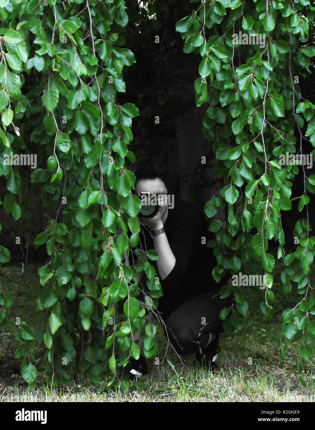 Terin hi-res stock photography and images - Alamy