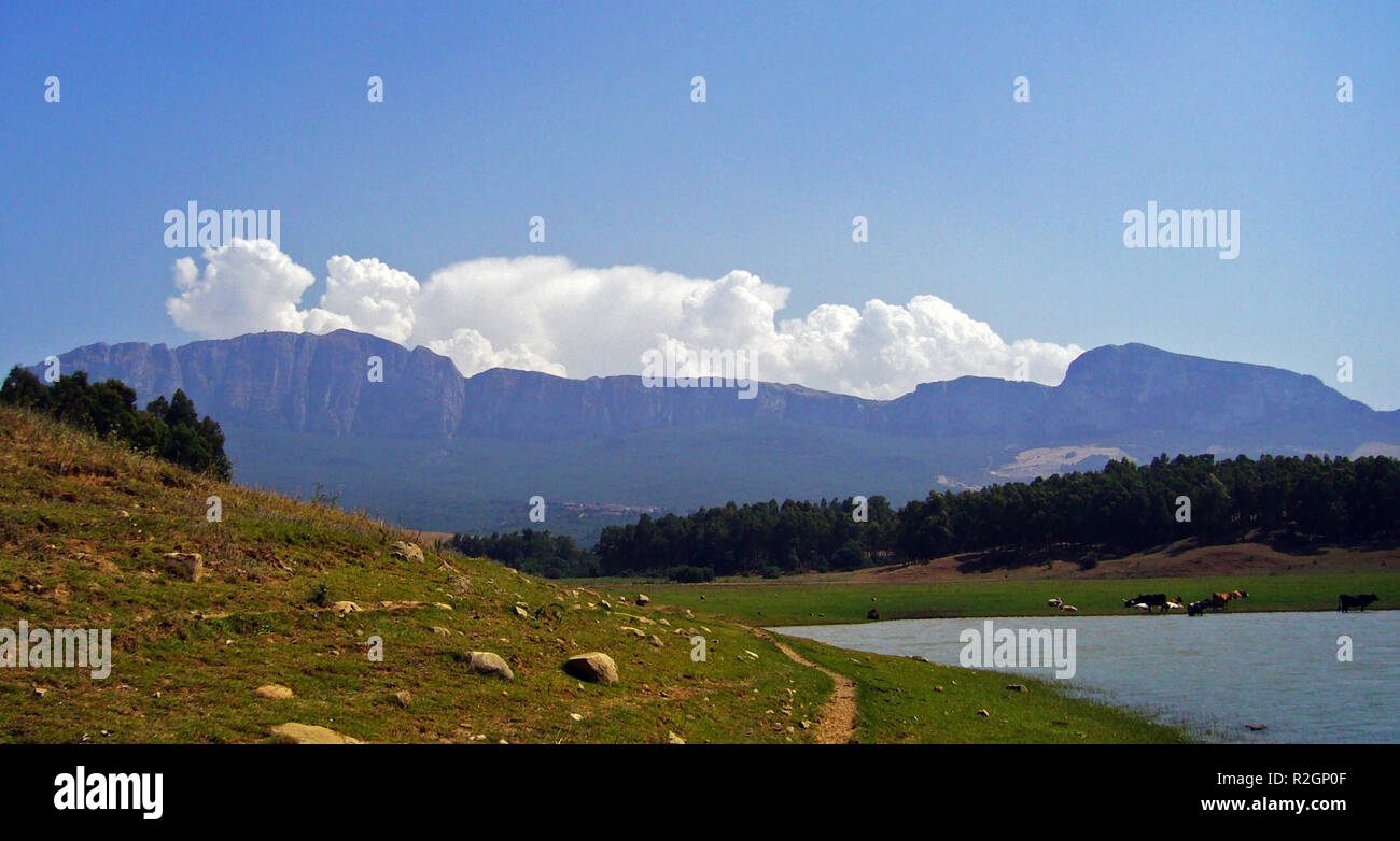 Bosco della ficuzza hi-res stock photography and images - Alamy
