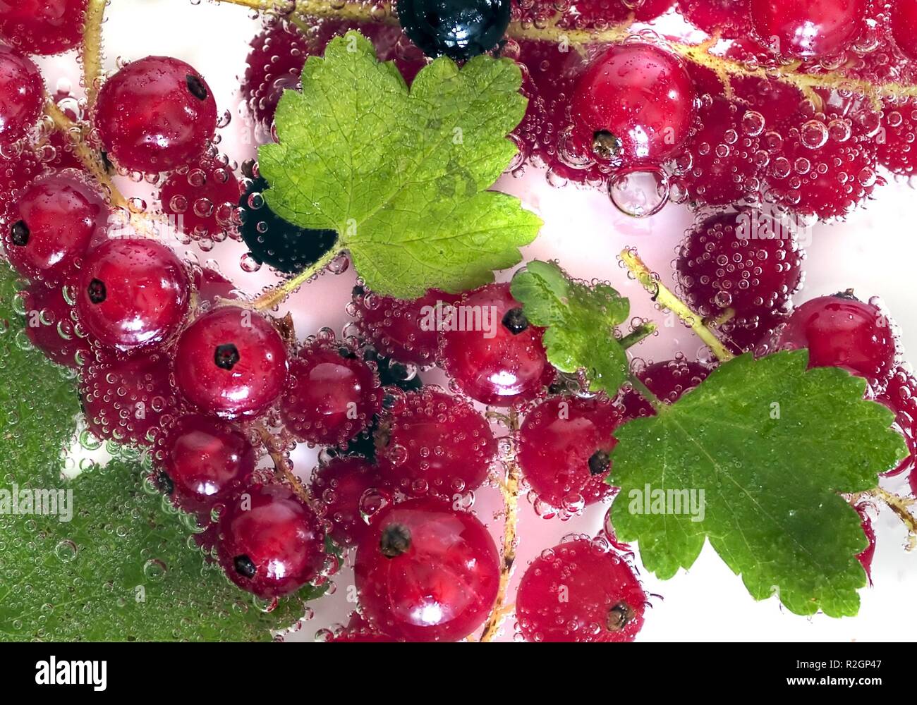 Ribiselsaft hi-res stock photography and images - Alamy