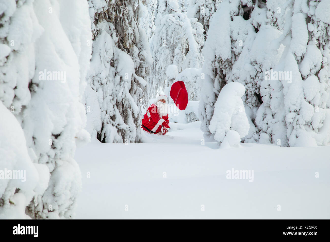 Authentic Santa Claus in Lapland. Magnificent snow-covered landscape ...