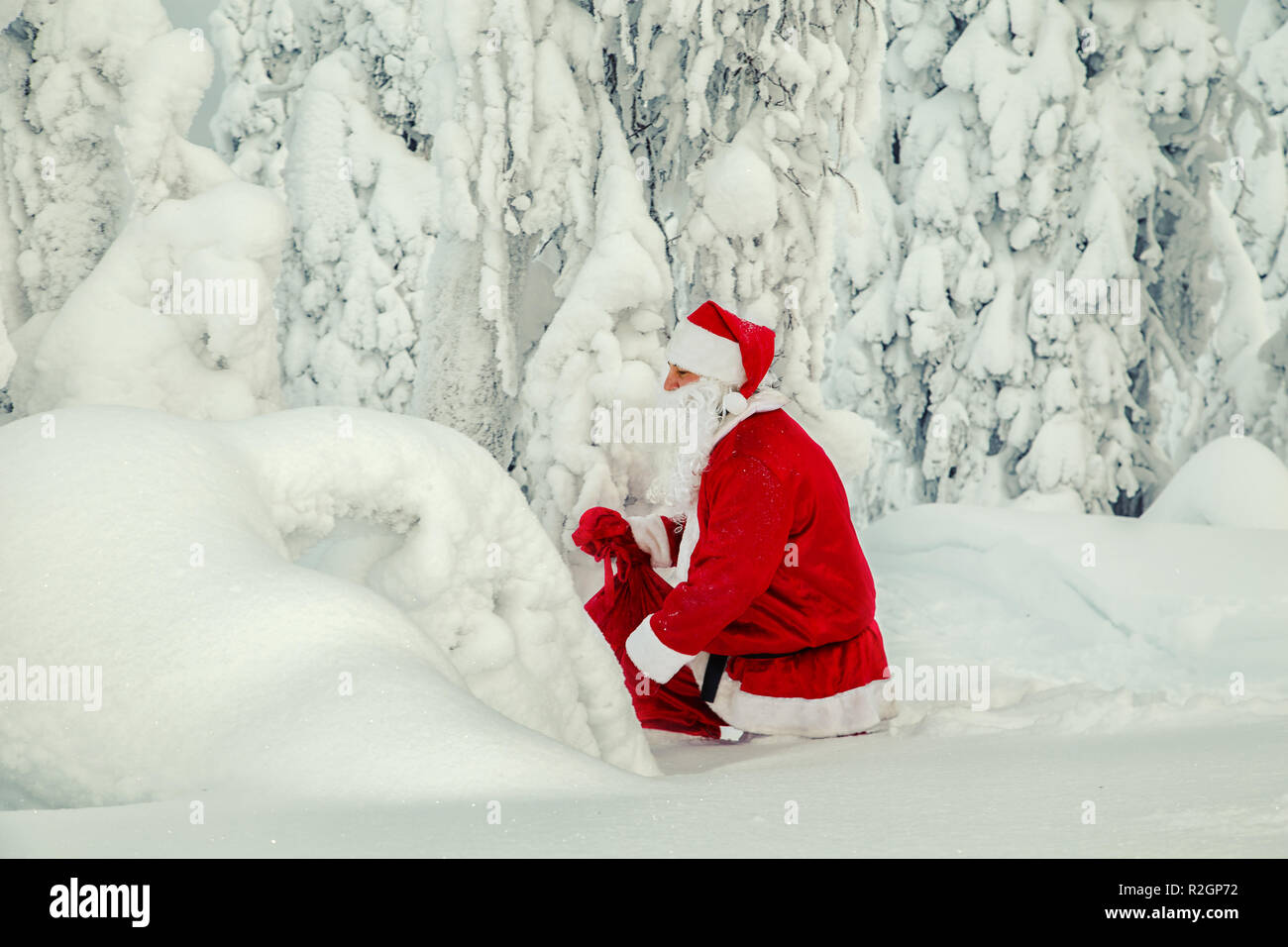 Authentic Santa Claus in Lapland. Magnificent snow-covered landscape ...