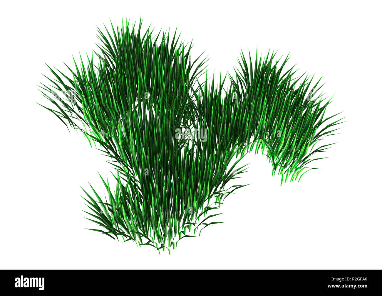 3D rendering of a patch of grass isolated on white background Stock ...