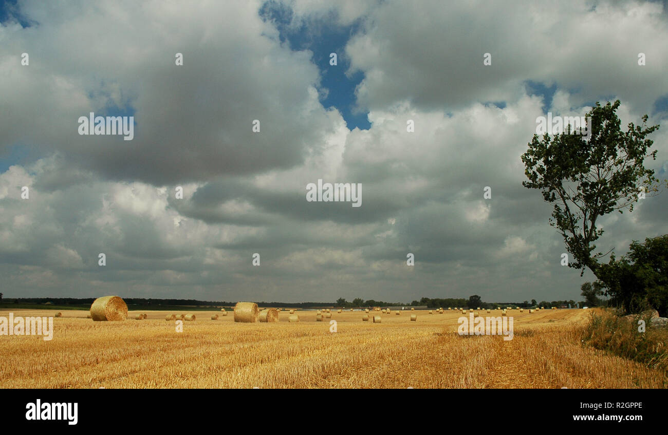 Anna mills hi-res stock photography and images - Alamy