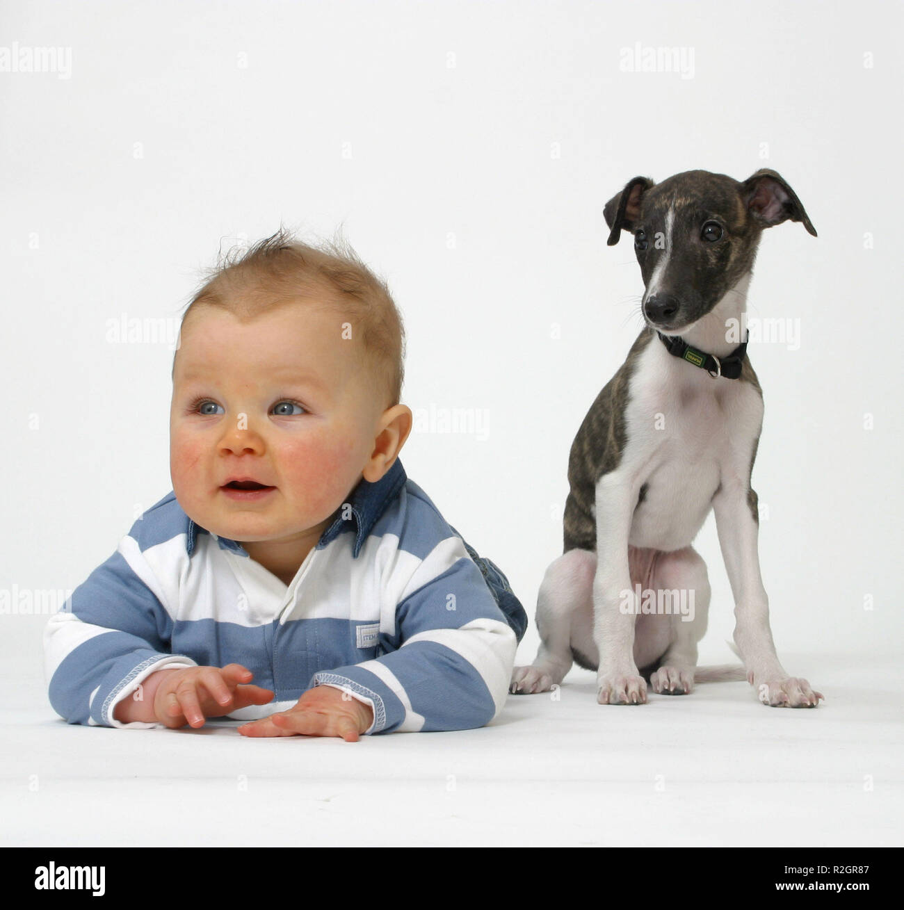 My dear little friend hi-res stock photography and images - Alamy