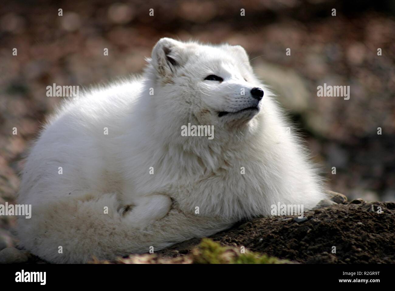 Finally spring hi-res stock photography and images - Alamy