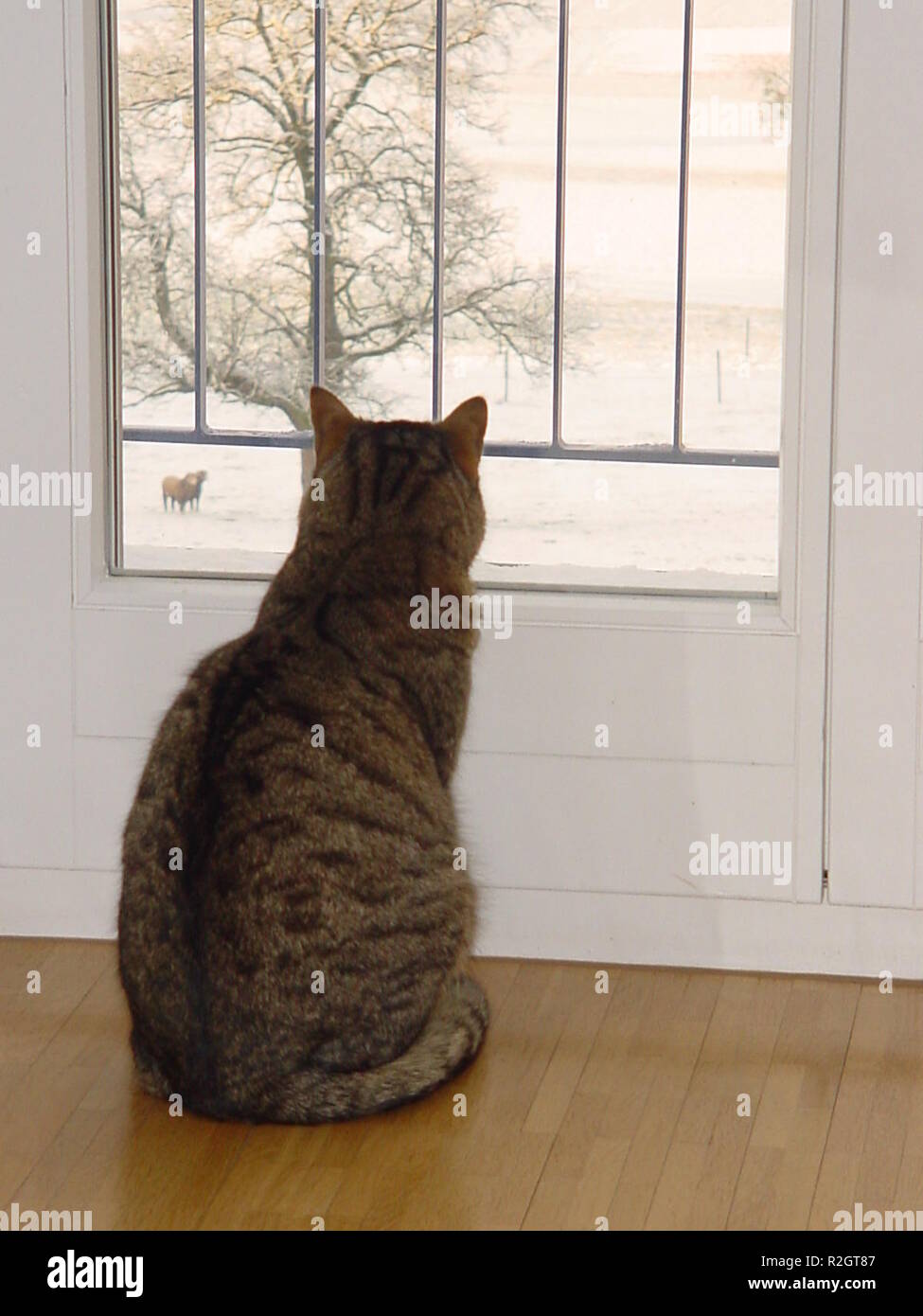 Mr murphy hi-res stock photography and images - Alamy