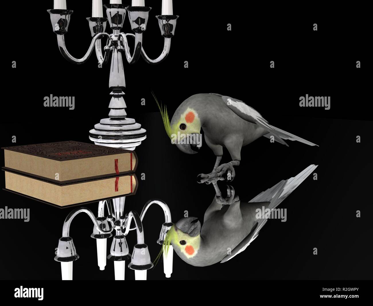 Jester bird hi-res stock photography and images - Alamy