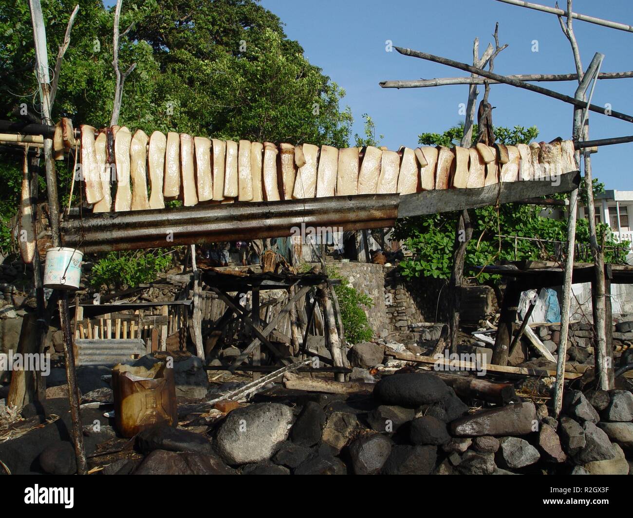 Lamalera tradition hi-res stock photography and images - Alamy