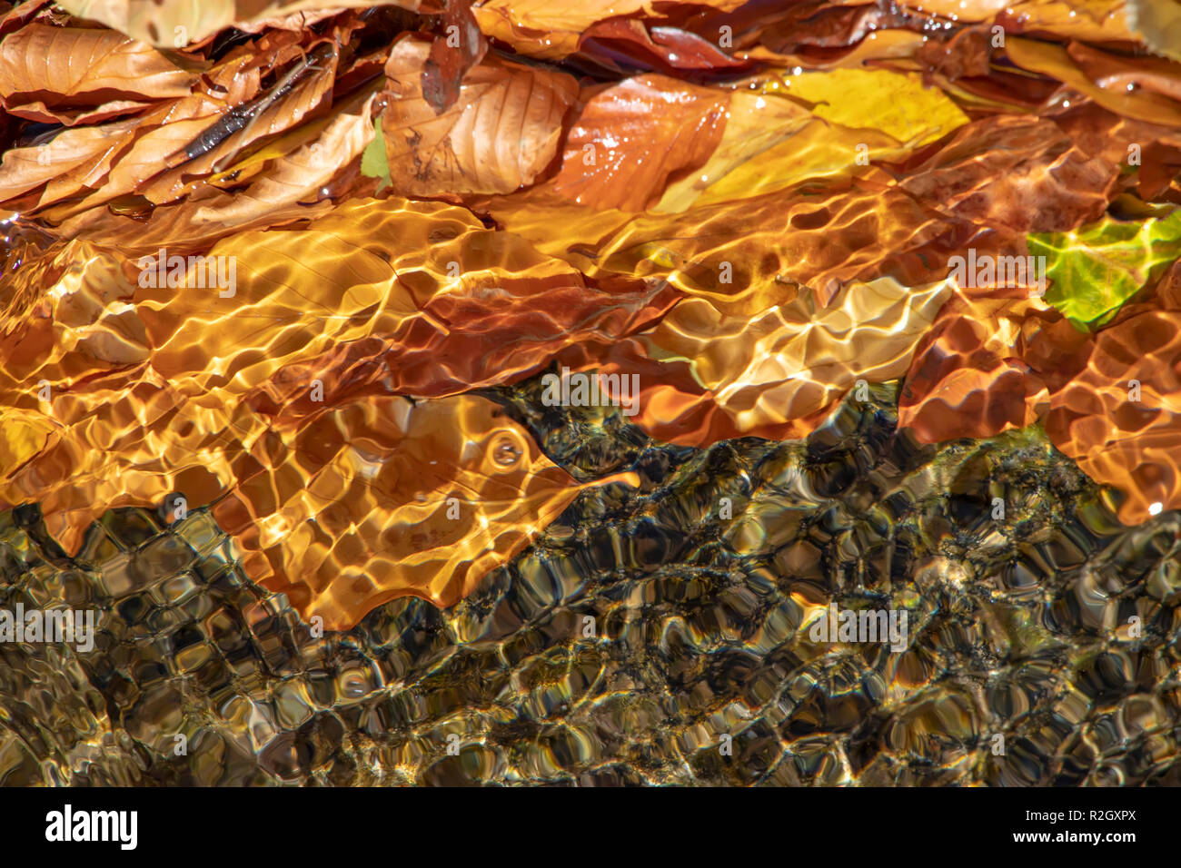 Drakia hi-res stock photography and images - Alamy