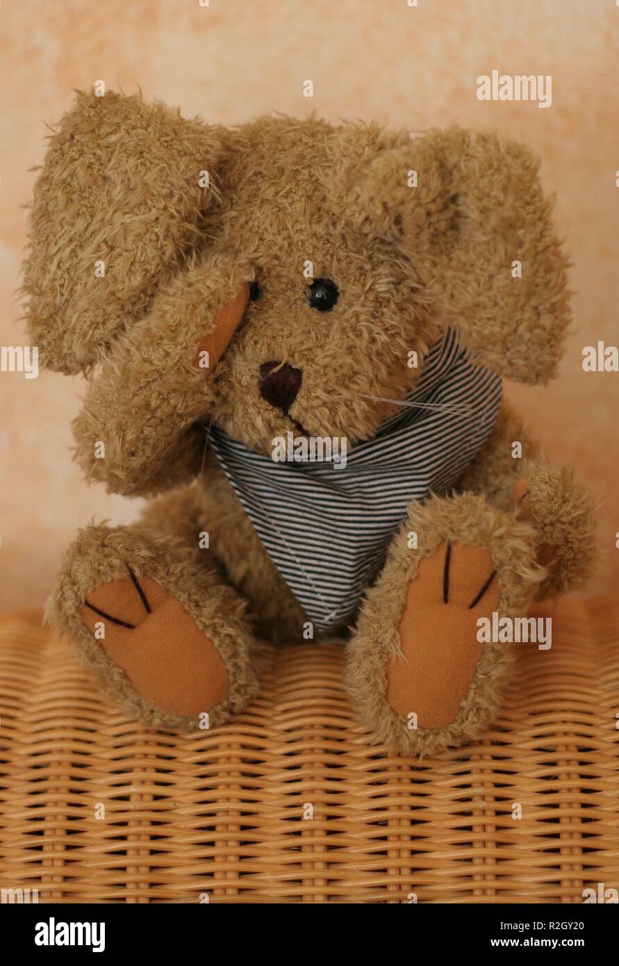 Sad hare hi-res stock photography and images - Alamy