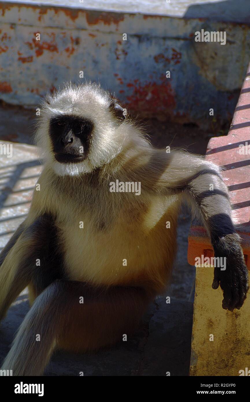 everything is easy Stock Photo - Alamy